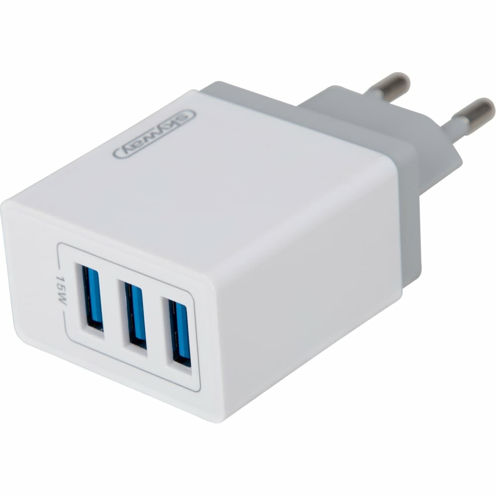 Сетевое зарядное устройство SKYWAY S04602005