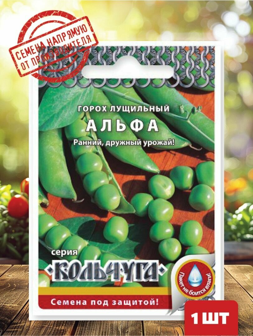 Семена Горох лущильный Альфа "Кольчуга NEW"