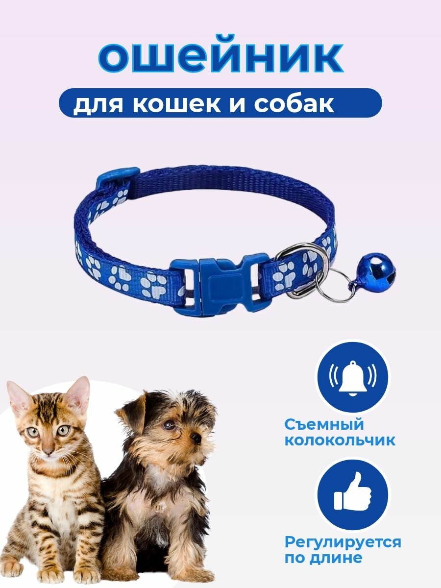 Ошейник, для кошек и собак мелких пород, синий, с колокольчиком