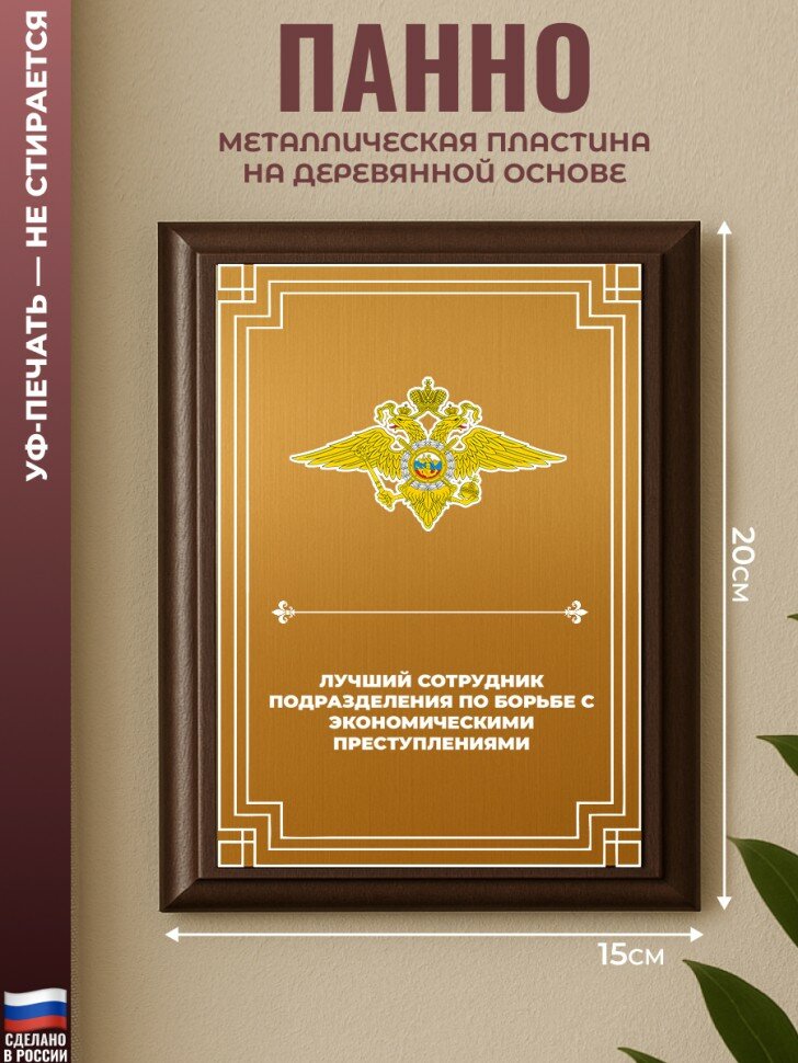 Настенный диплом "Лучший сотрудник подразделения по борьбе с экономическими преступлениями" МВД