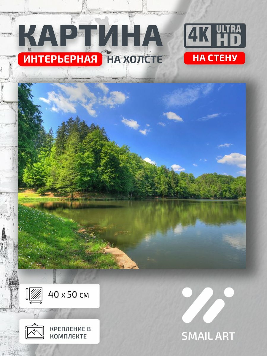 Картина на холсте интерьерная 40 на 50 на стену Лес Landscape для офиса пейзаж интерьер