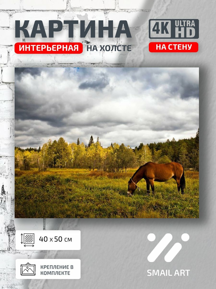 Картина на холсте интерьерная 40 на 50 на стену Поляна Landscape для спальни пейзаж декор