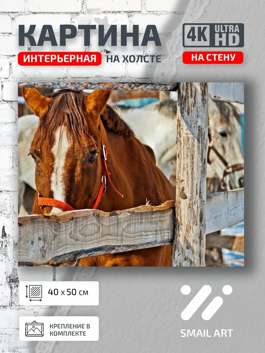 Картина на холсте интерьерная 40 на 50 на стену Загон Animal для детской animal style декор