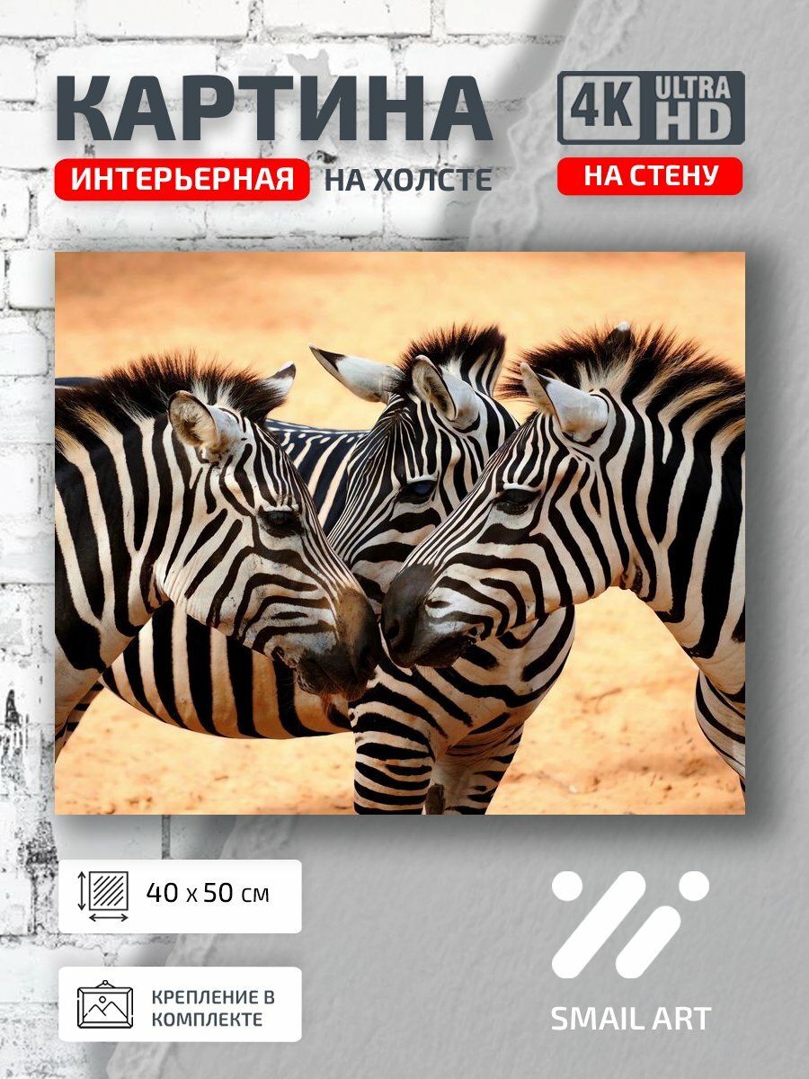 Картина на холсте интерьерная 40 на 50 на стену Зебры Landscape для гостиной пейзаж декор