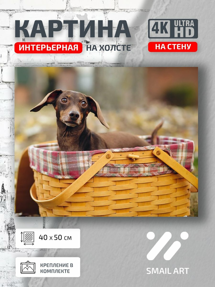 Картина на холсте интерьерная 40 на 50 на стену Поляна Mood для гостиной атмосфера интерьер