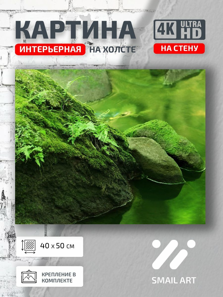 Картина на холсте интерьерная 40 на 50 на стену Трава Landscape для гостиной пейзаж декор