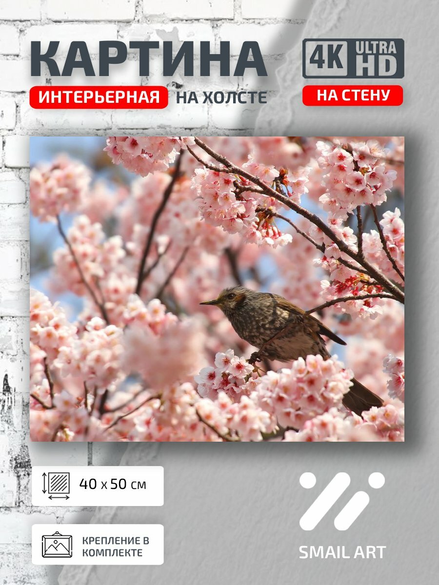 Картина на холсте интерьерная 40 на 50 на стену Птицы Landscape для офиса пейзаж интерьер