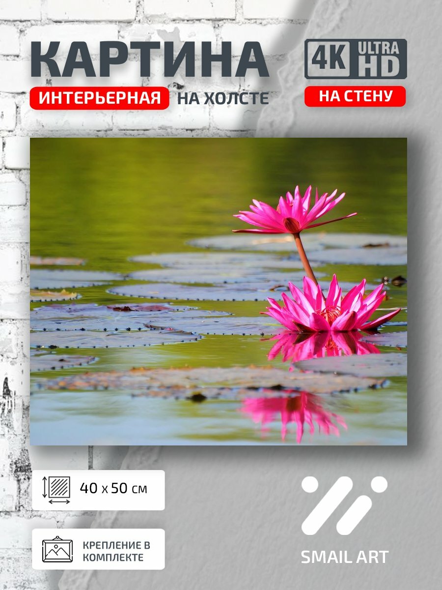 Картина на холсте интерьерная 40 на 50 на стену Кувшинки Landscape для офиса пейзаж декор