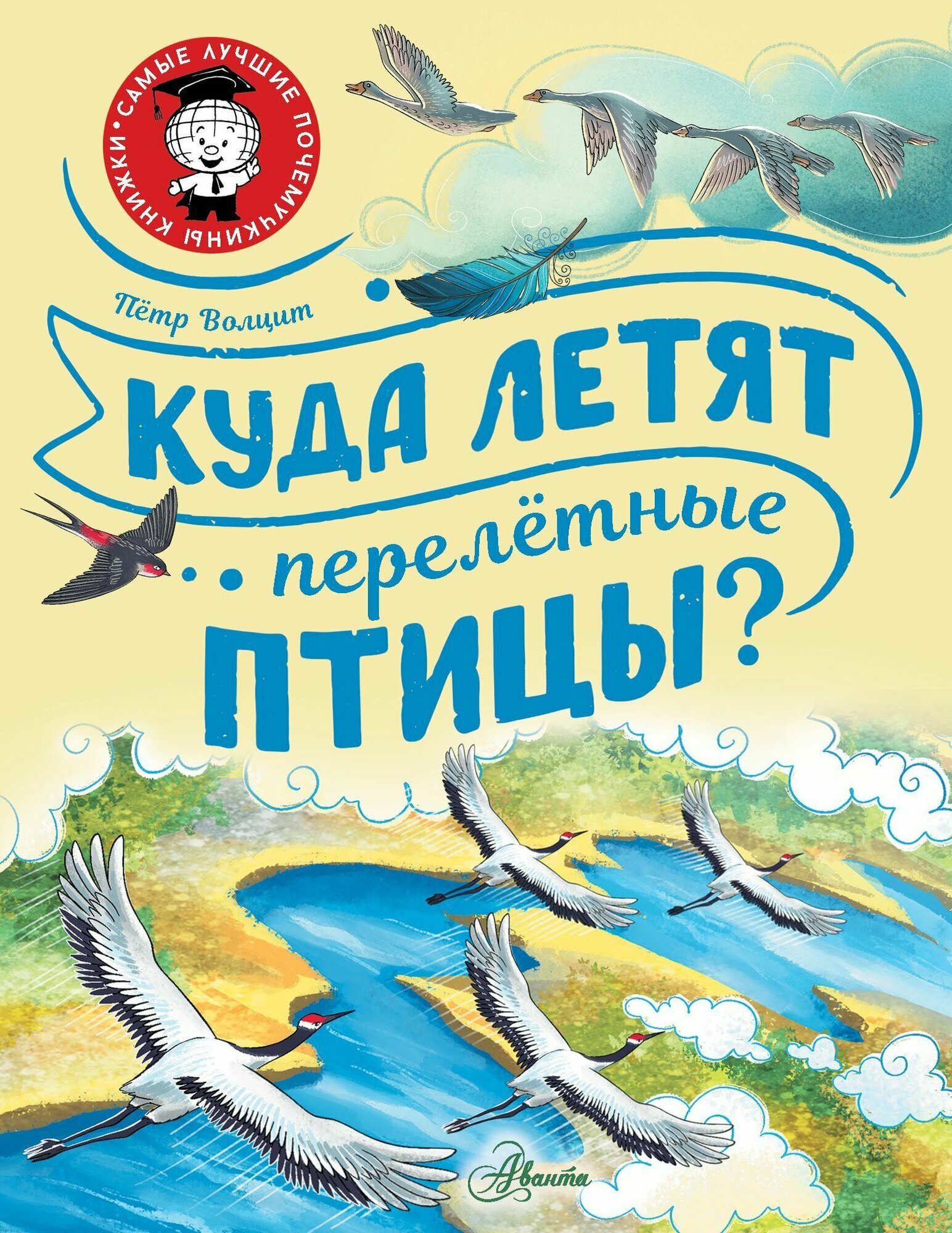 Куда летят перелётные птицы?
