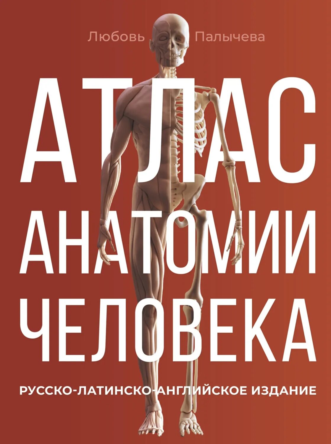 Атлас анатомии человека. Русско-латинско-английское издание [Цифровая книга]