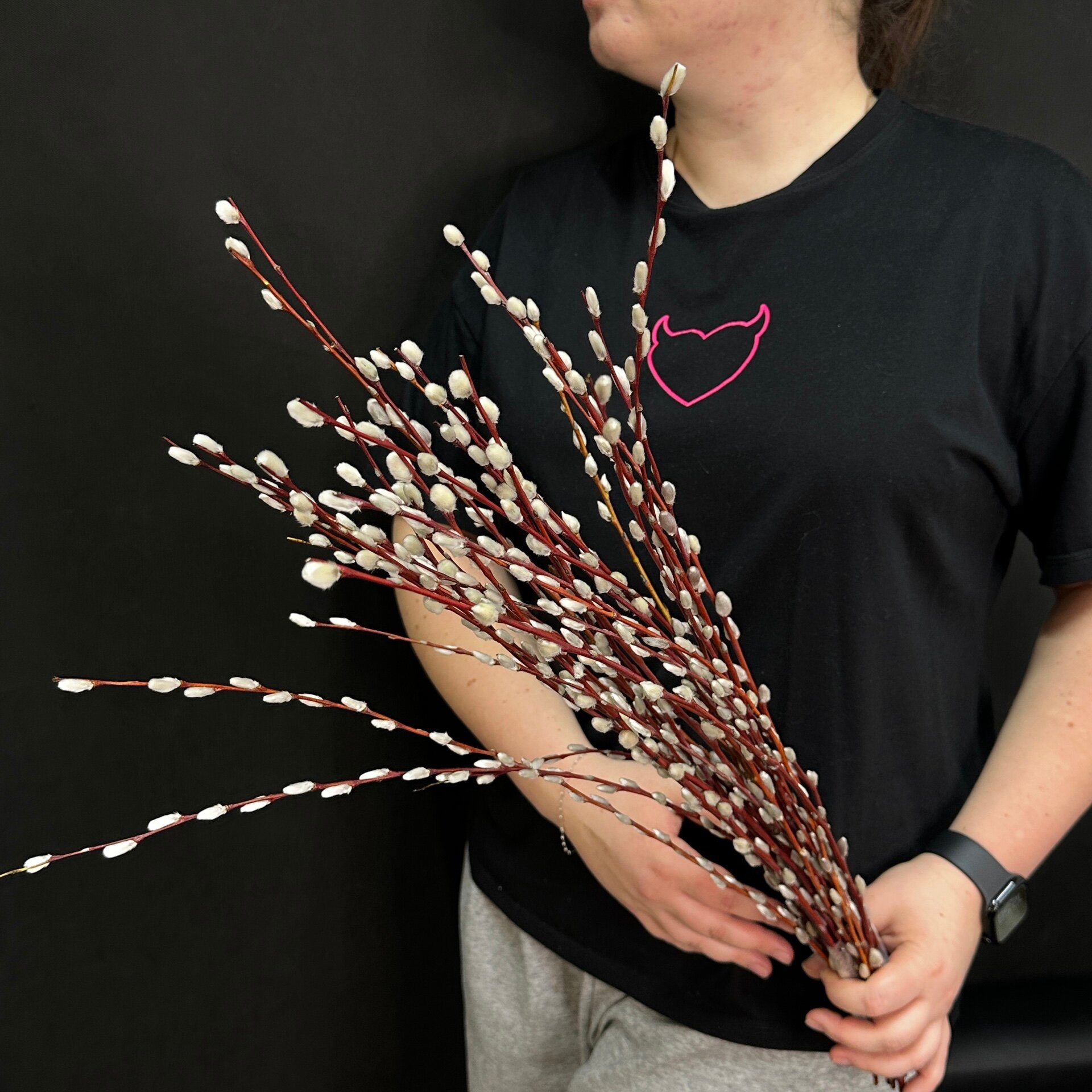 Верба натуральная / Пучок / Монобукет из живой вербы 25-30 штук