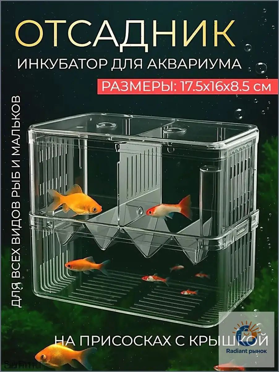 Отсадник для рыб инкубатор для мальков в аквариум 17.5х16х8.5 смY