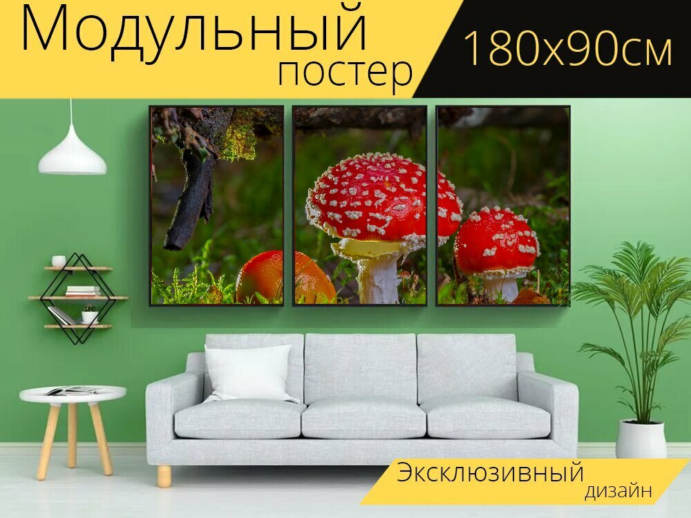 Модульный постер "Мухомор, грибы, красные мухоморы" 180 x 90 см. для интерьера