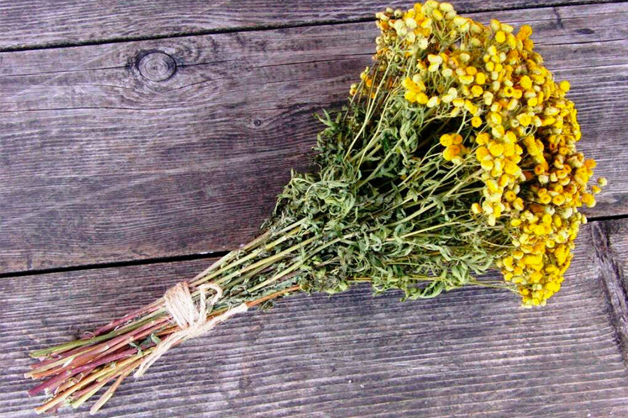 Банный веник "Иду в Баню" "Пижма", пучок 1 штука, травяной аромат