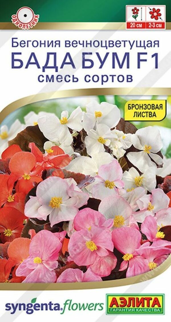 Семена Аэлита "Бегония Бада бум", однолетние, высота 20см, 5шт