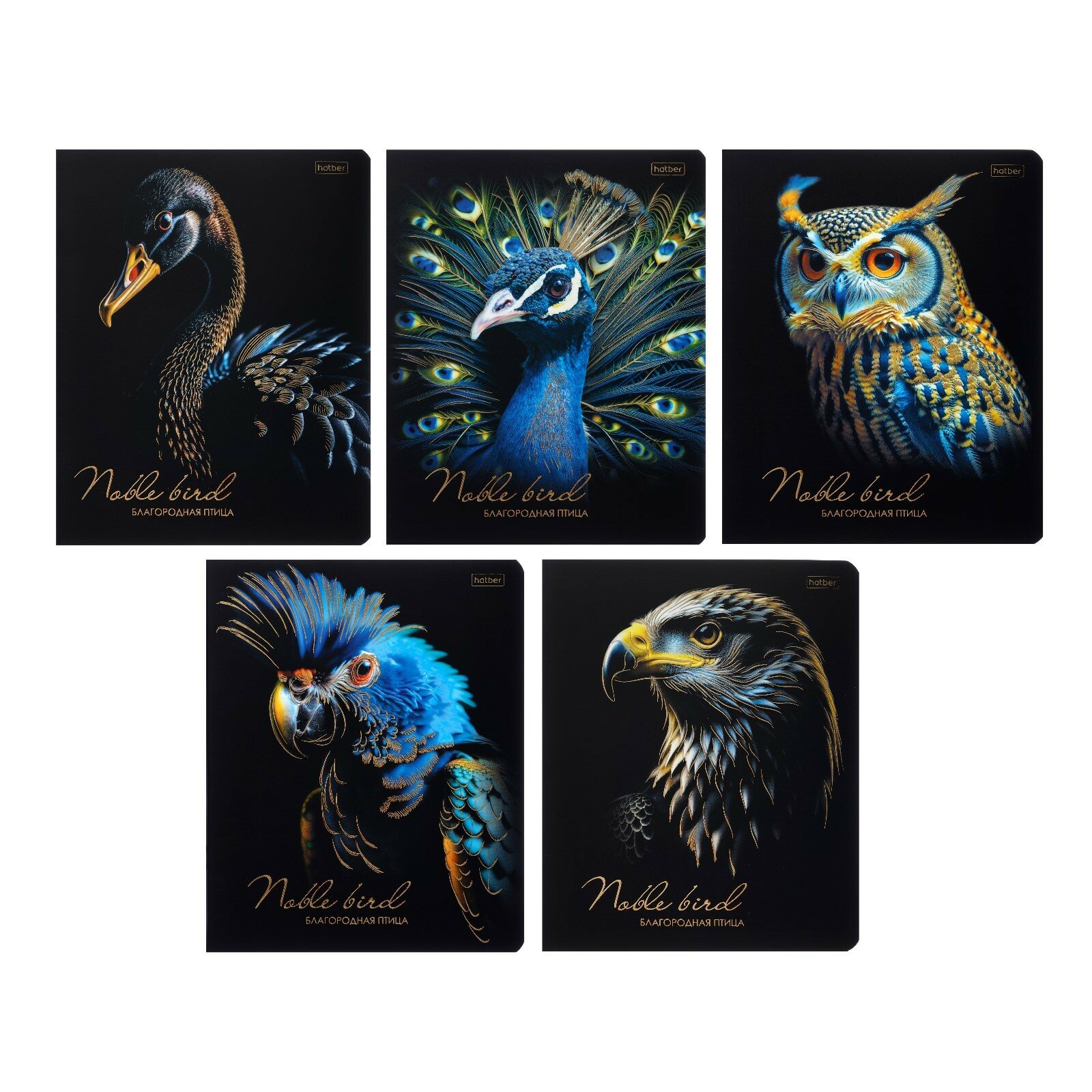 Набор тетрадей Hatber "Благородные птицы", A5, мягкая обложка, 48л