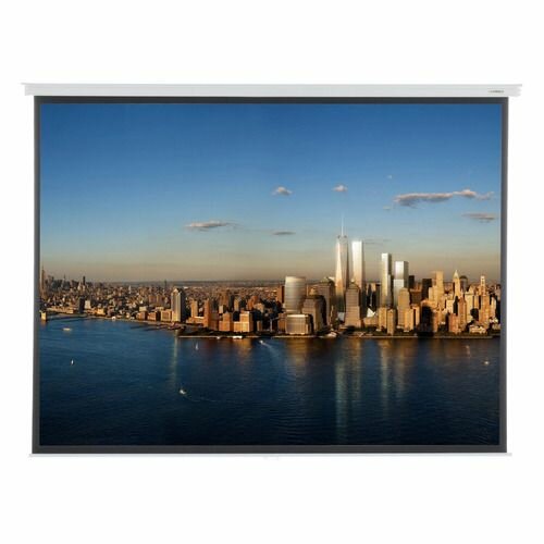 Экран Lumien Master View LMP-100110, 244х183 см, 4:3, настенно-потолочный