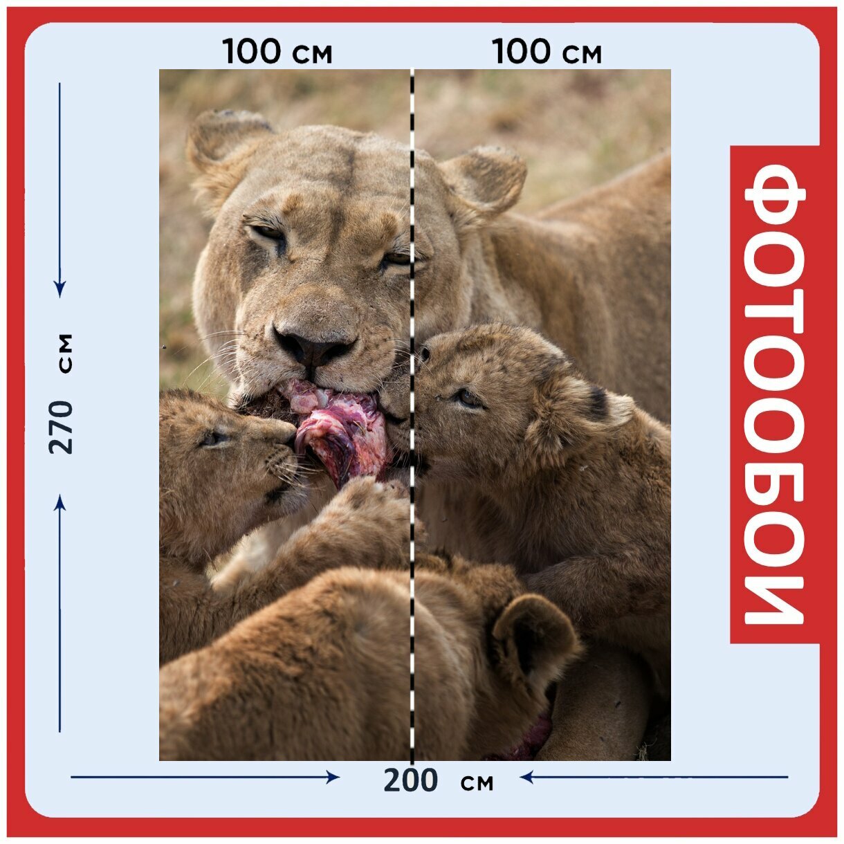 Фотообои "Львы, мама, лев" 200x270 см. флизелиновыена стену