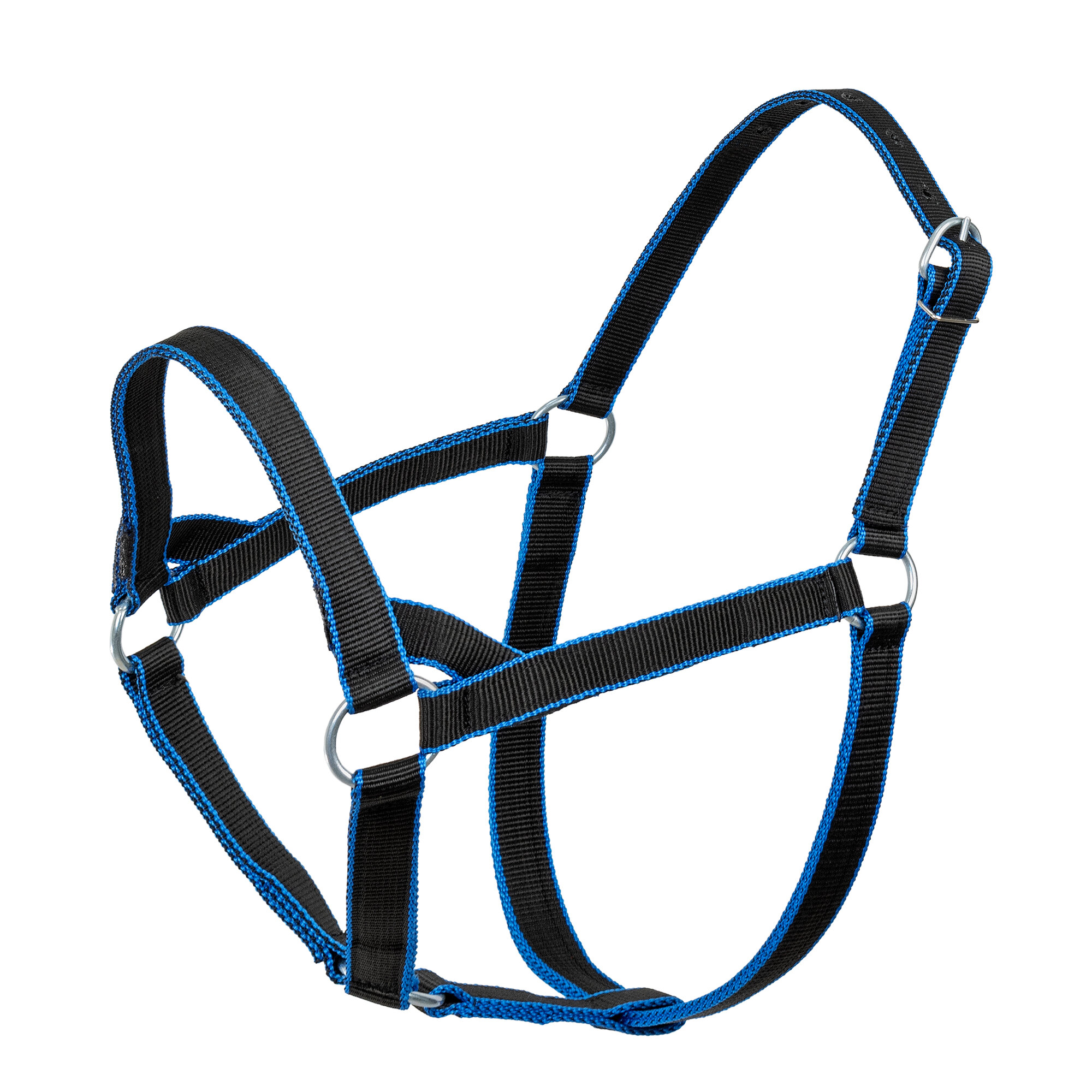 Недоуздок для лошадей двойной капрон, недоуздок без повода черно-синий 25 мм REITER