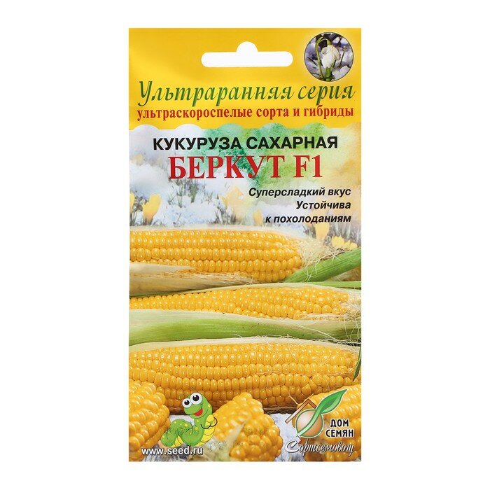 Семена Кукуруза сахарная «Беркут», F1, 8 шт, ультраранняя,