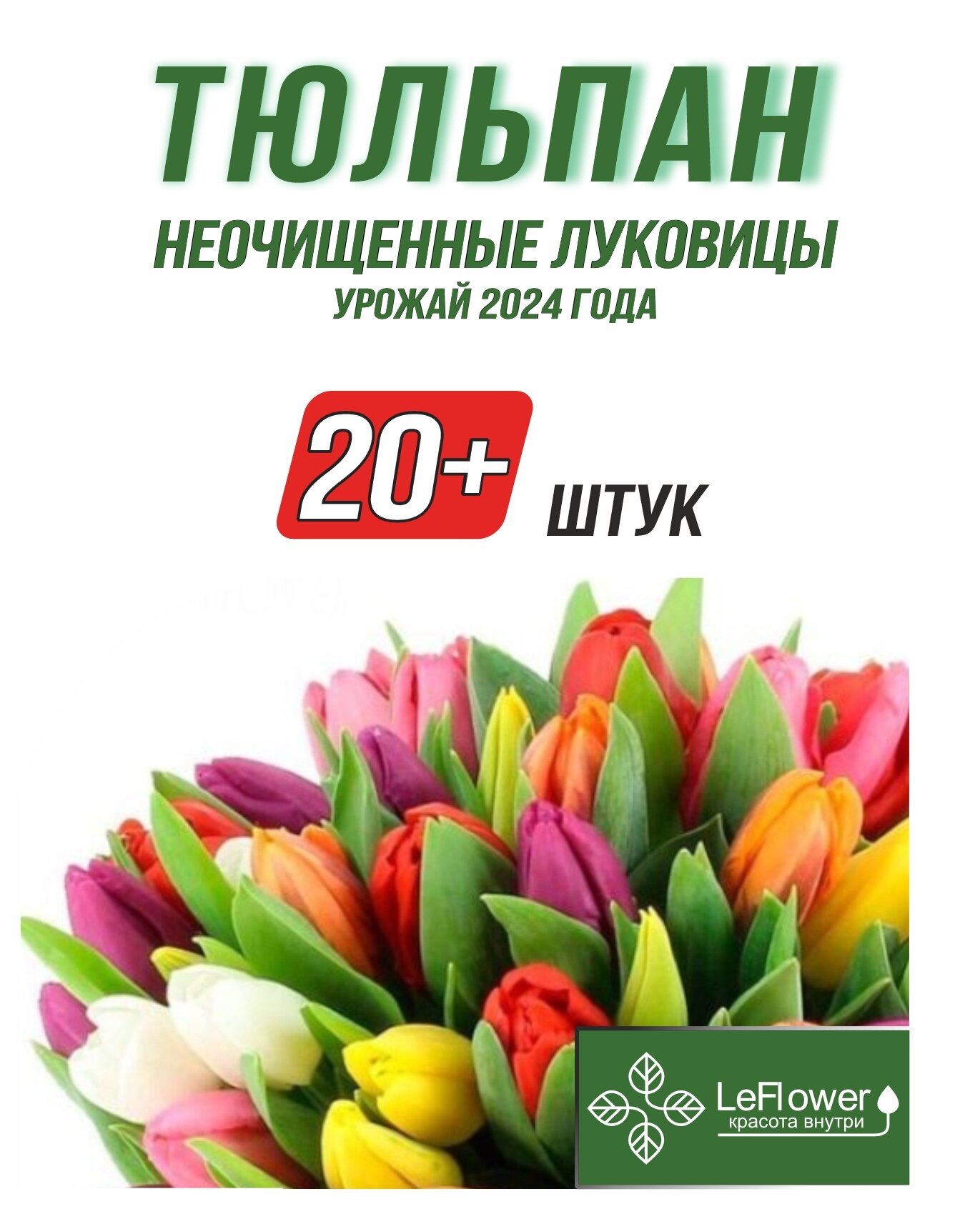 Тюльпан Луковицы неочищенные, Микс сортов, 20шт+ (LeFlower)