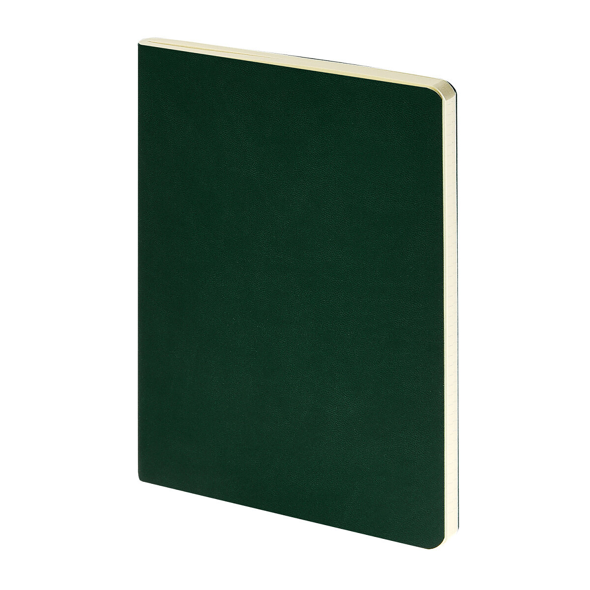 Бизнес тетрадь А5, Bruno Visconti,"MEGAPOLIS VELVET" FLEX (зеленый ) 60 л. клетка