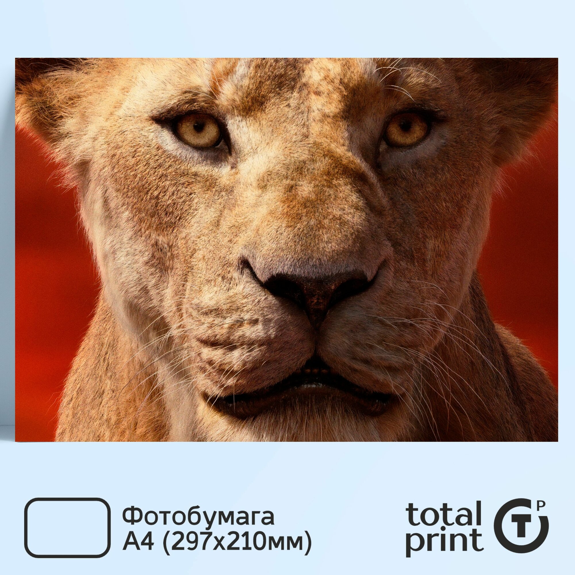 TotalPrint Постер для интерьера, Король Лев, А4(21х29.7см)
