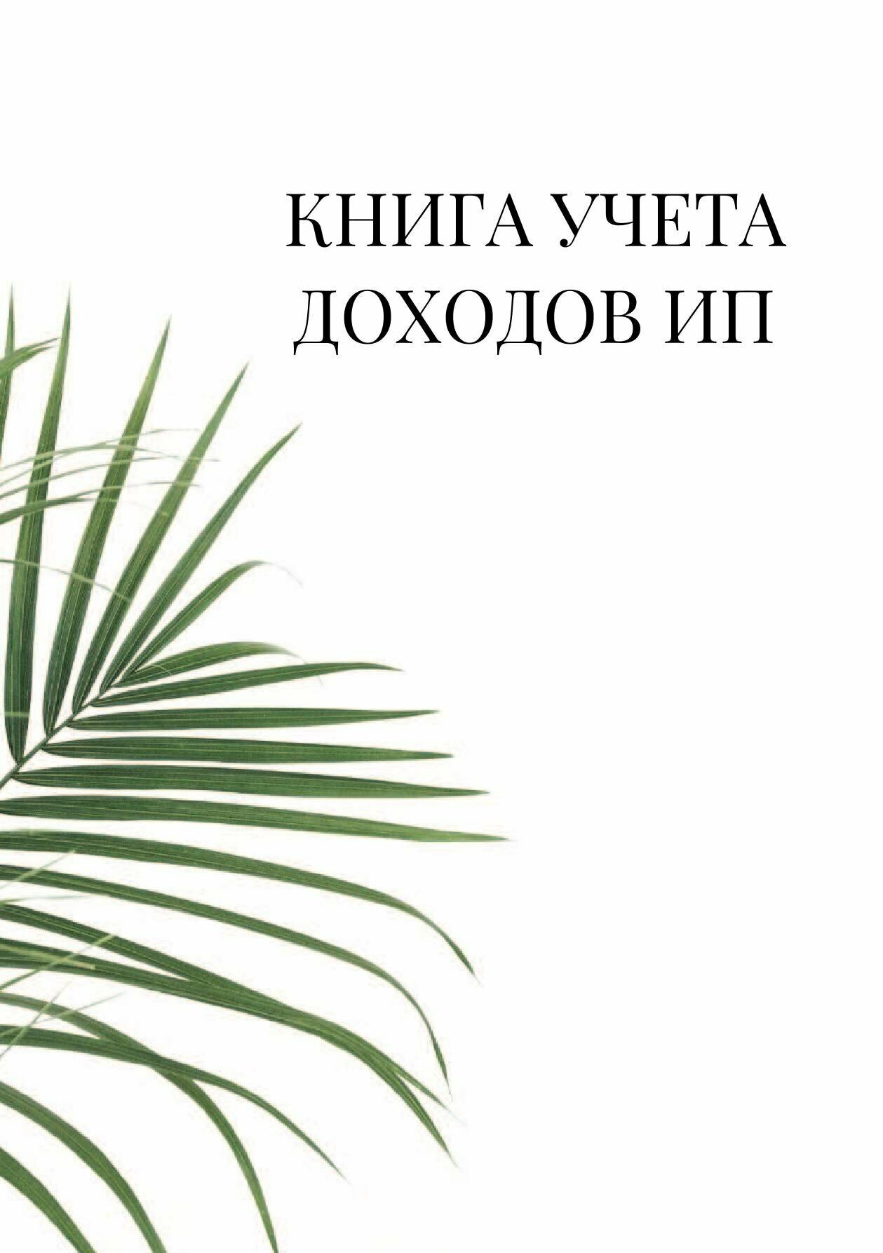 Книга учета доходов для ИП на патенте