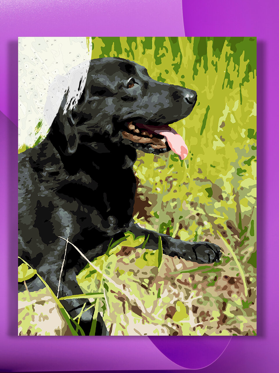 Картина по номерам на холсте Чёрный лабрадор, 40 х 50 см