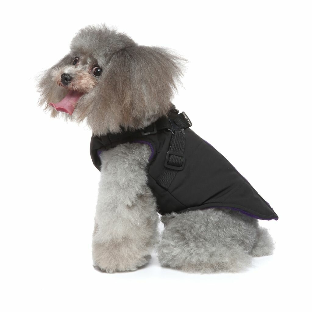 Зимняя куртка с нагрудным ремнем для собаки, хлопчатобумажное пальто-черный-M