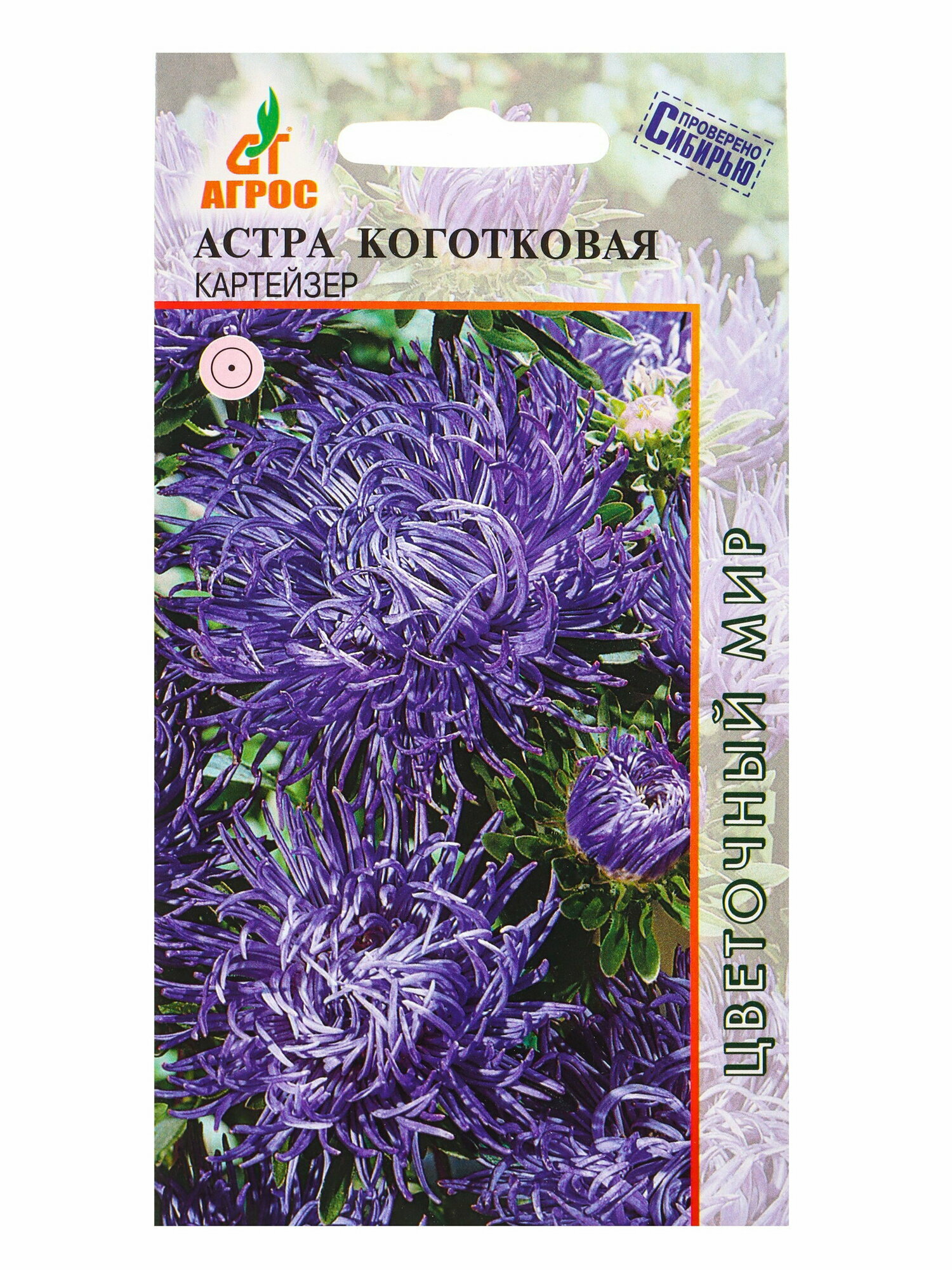 Семена Астра "Коготковая Картейзер", 0.3 г, цветение период: август, 3 шт.