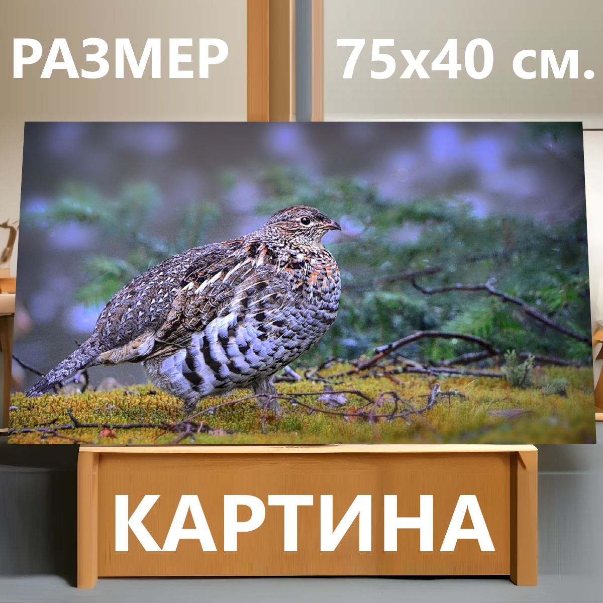 Картина на холсте "Тетерев, птица, животное" на подрамнике 75х40 см. для интерьера