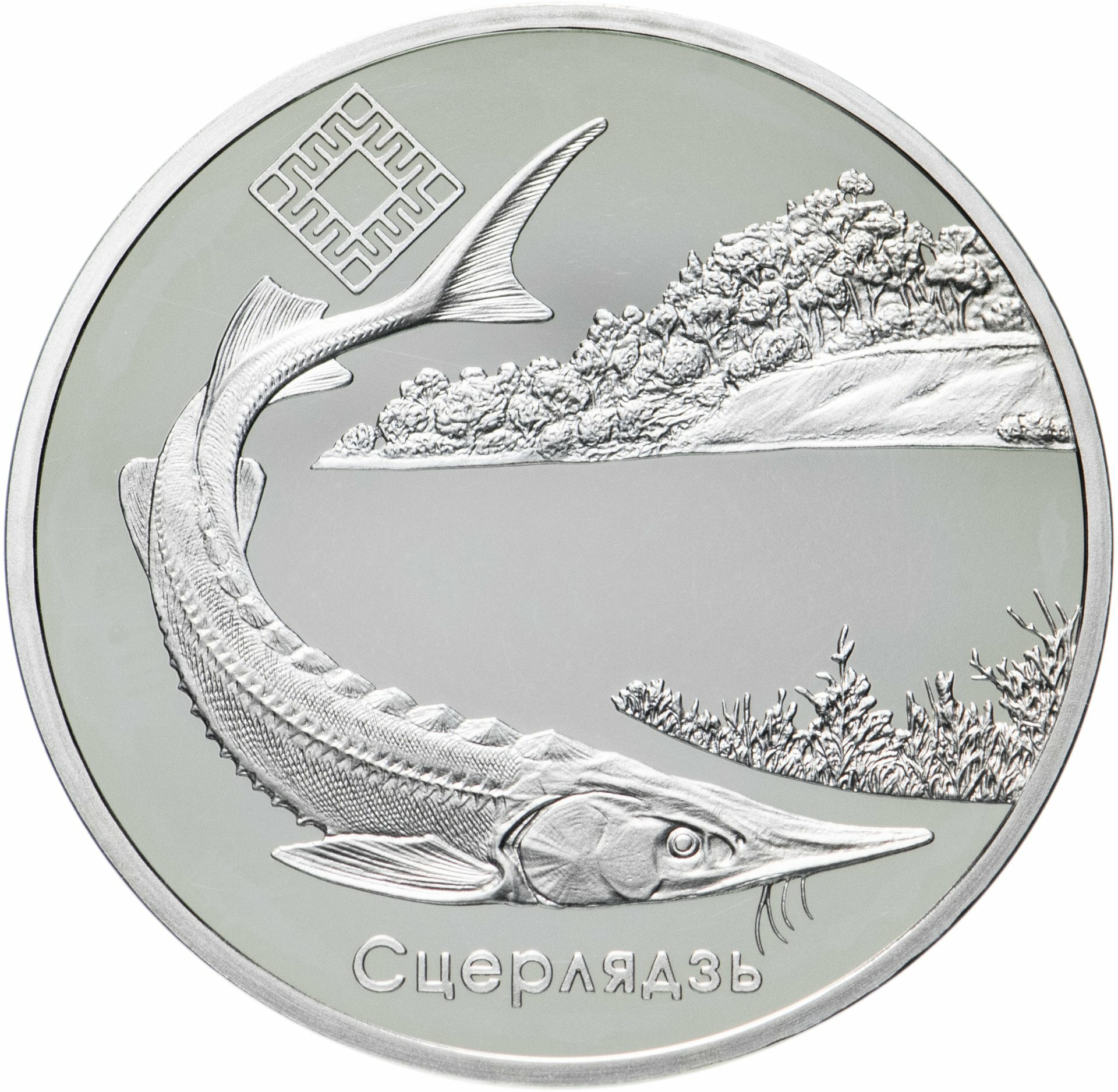 Беларусь 1 рубль 2007 "Заказник "Днепро - Сожский" Стерлядь, Бубенчик лилиелистный", Мельхиор медь-никель, в сохранности PL