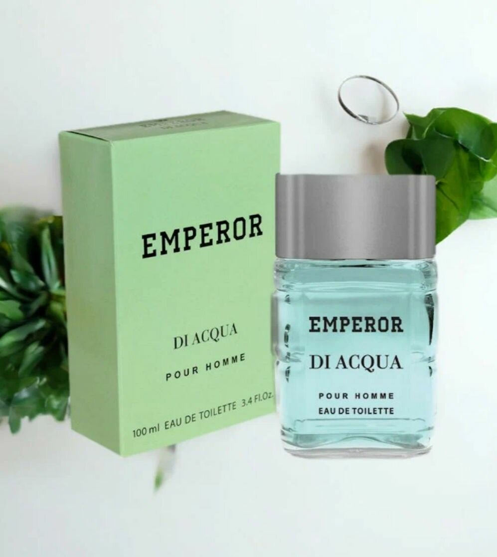 Туалетная вода Delta Parfum Emperor Di Acqua, для мужчин, фужерная, акватическая, 100 мл