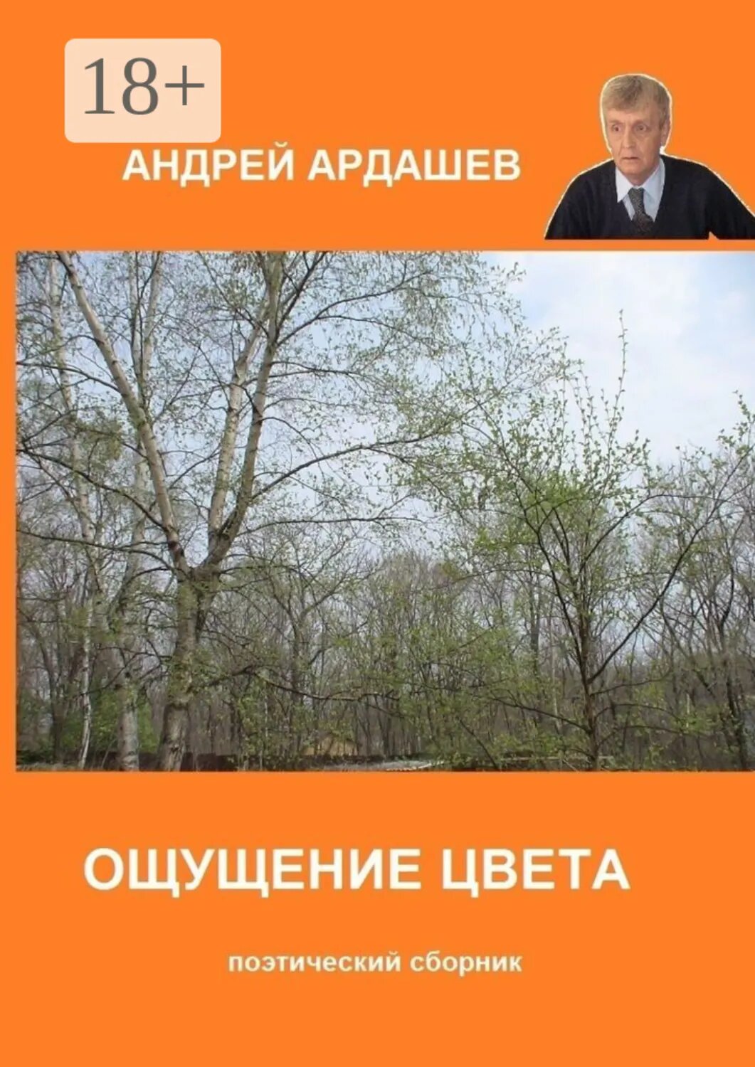 Ощущение цвета. Поэтический сборник [Цифровая книга]