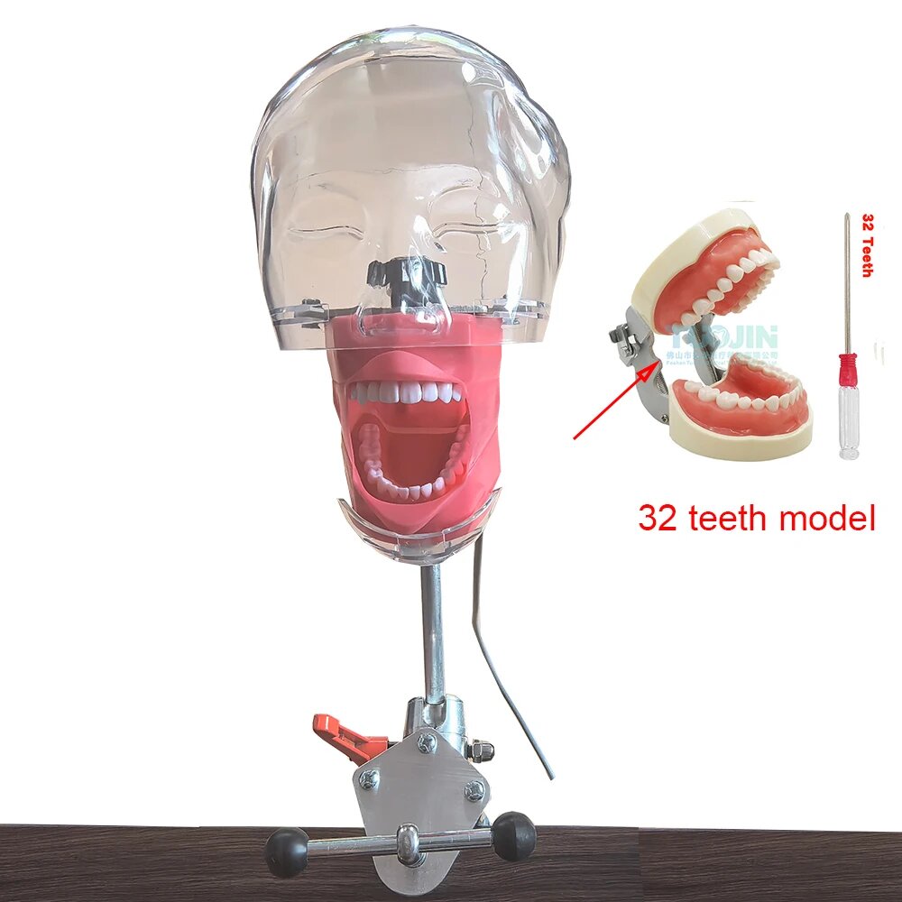 Стоматологический симулятор Jingoal tj057 металлический 32 teeth