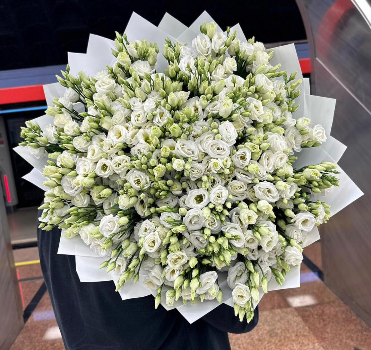 51 белая эустома