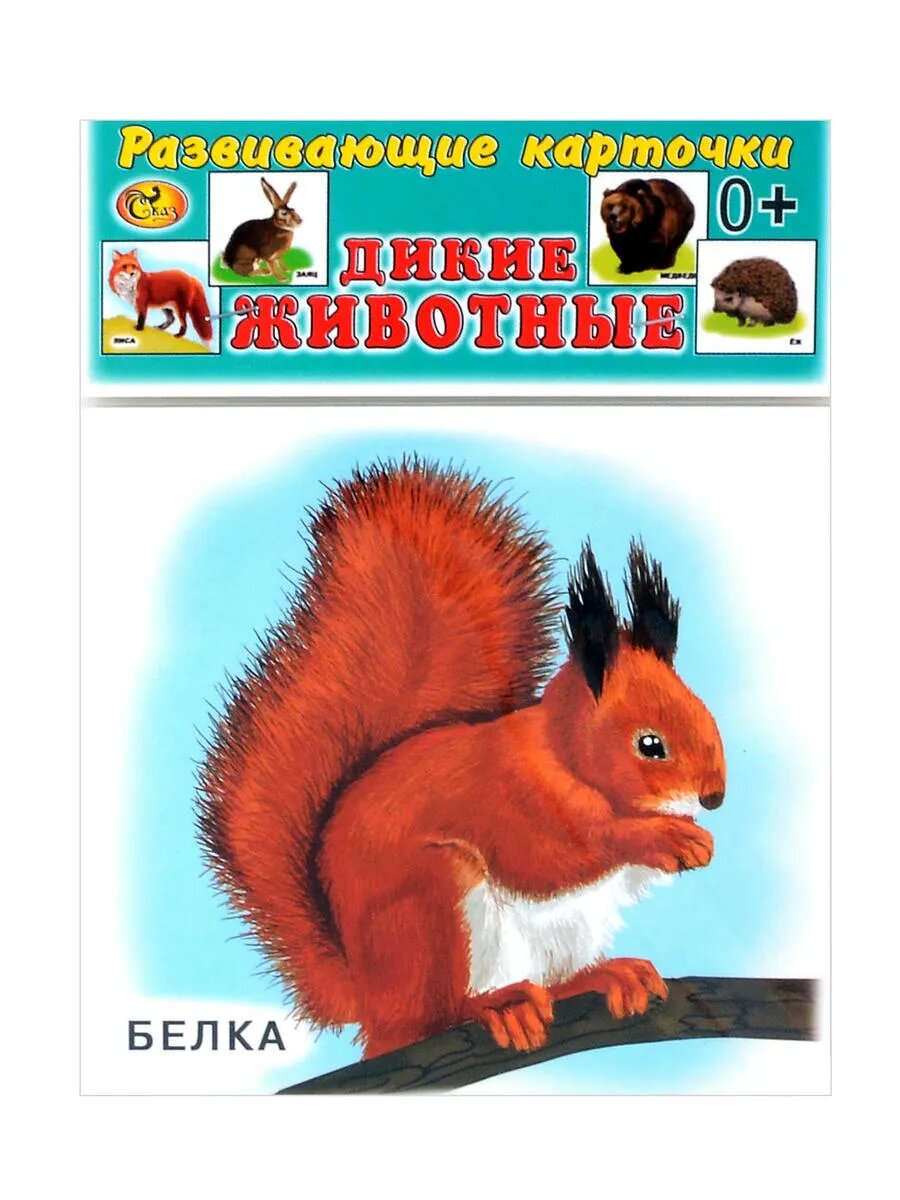 Развивающие карточки Дикие животные (0+) (14 карточек)