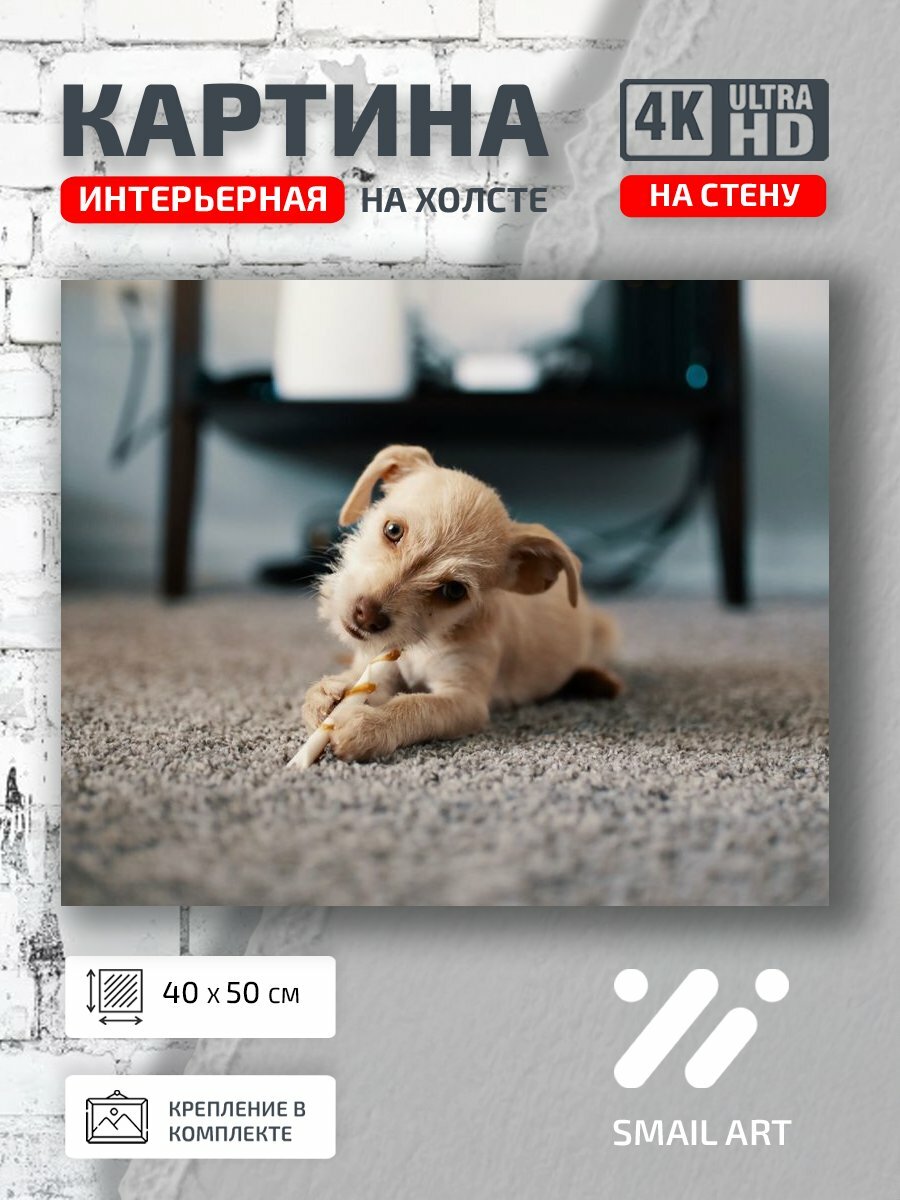 Картина на холсте интерьерная 40 на 50 на стену Ковер Mood для спальни атмосфера интерьер