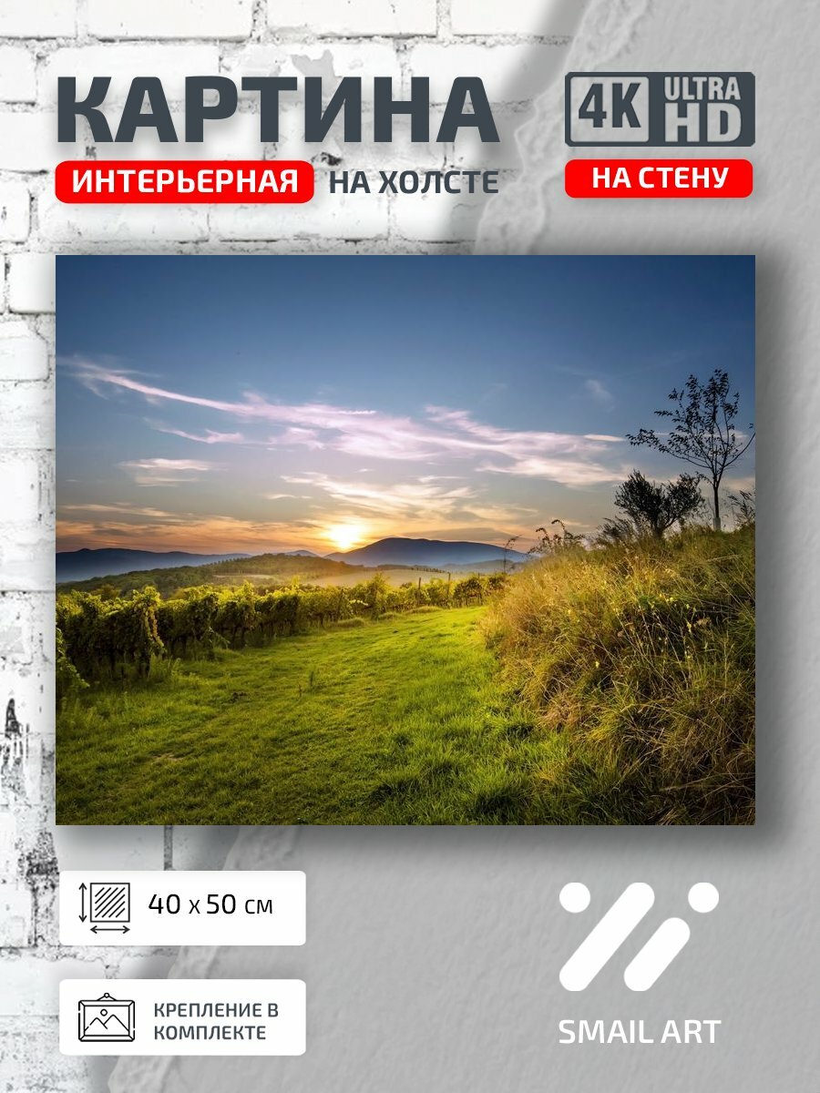 Картина на холсте интерьерная 40 на 50 на стену Закат Landscape для спальни пейзаж интерьер