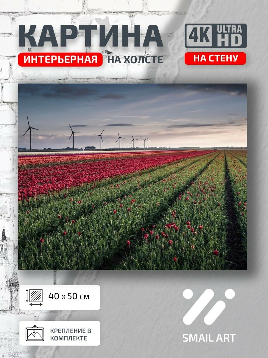 Картина на холсте интерьерная 40 на 50 на стену Природа поле для кабинета пейзаж