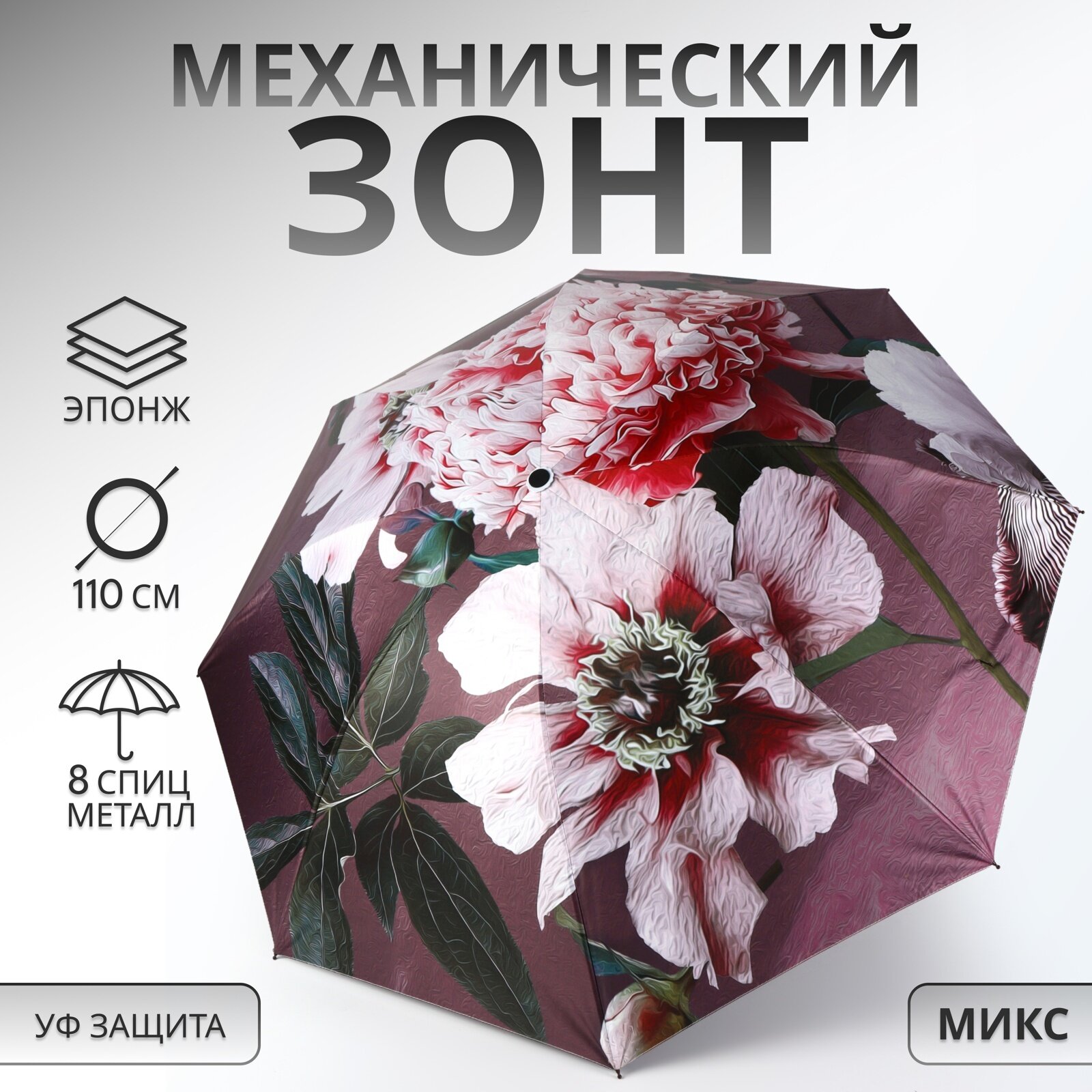 Зонты