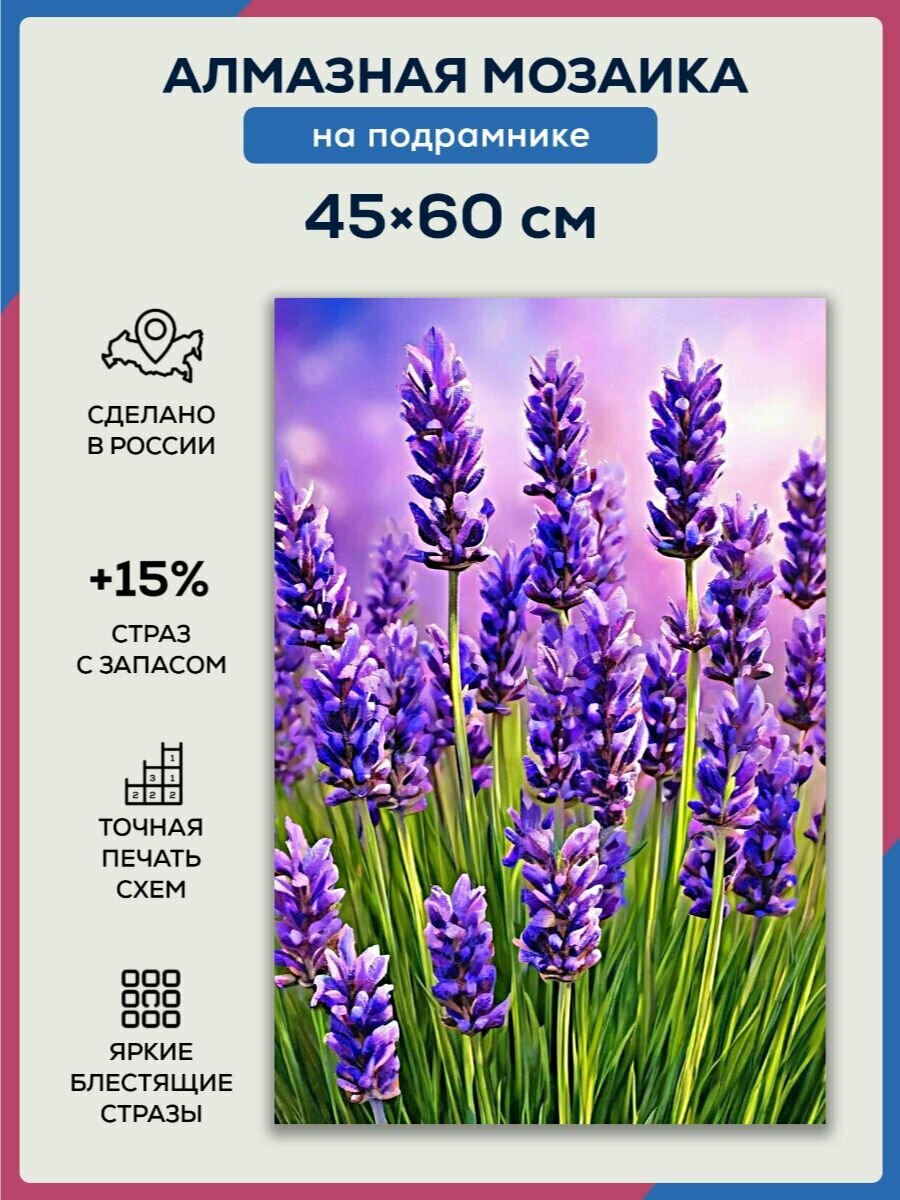 Алмазная мозаика 45x60 Лаванда на подрамнике