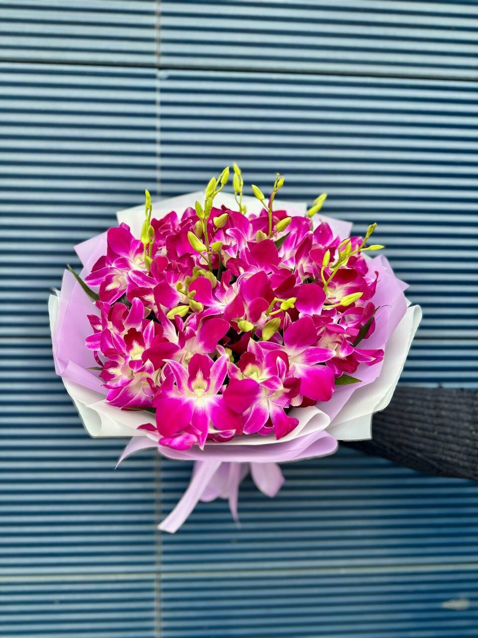 Монобукет wowflo "Соня", орхидеи дендробиум и аспидистра, 50см, 19 цветков