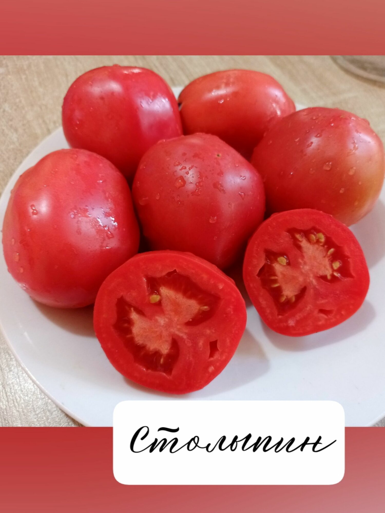 Томат "столыпин" семена томата 10 шт. Коллекционный сорт.