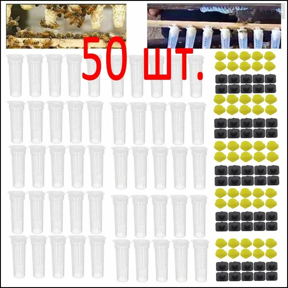 50 шт. Набор для вывода маток (клеточка, цоколь, держатель мисочки) / товары для пчеловодства / Изолятор защита для вывода пчеломаток