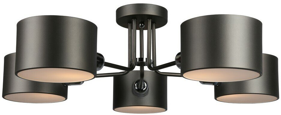 OML-54507-05 Люстра потолочная Omnilux Lisera