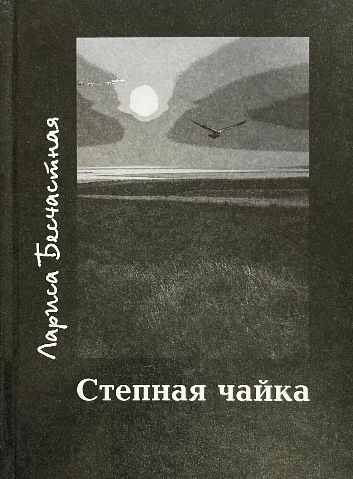 Степная чайка 2006 г.