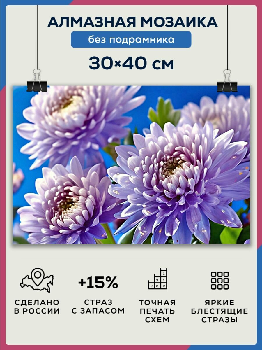 Алмазная мозаика 30x40 Астра летом без подрамника