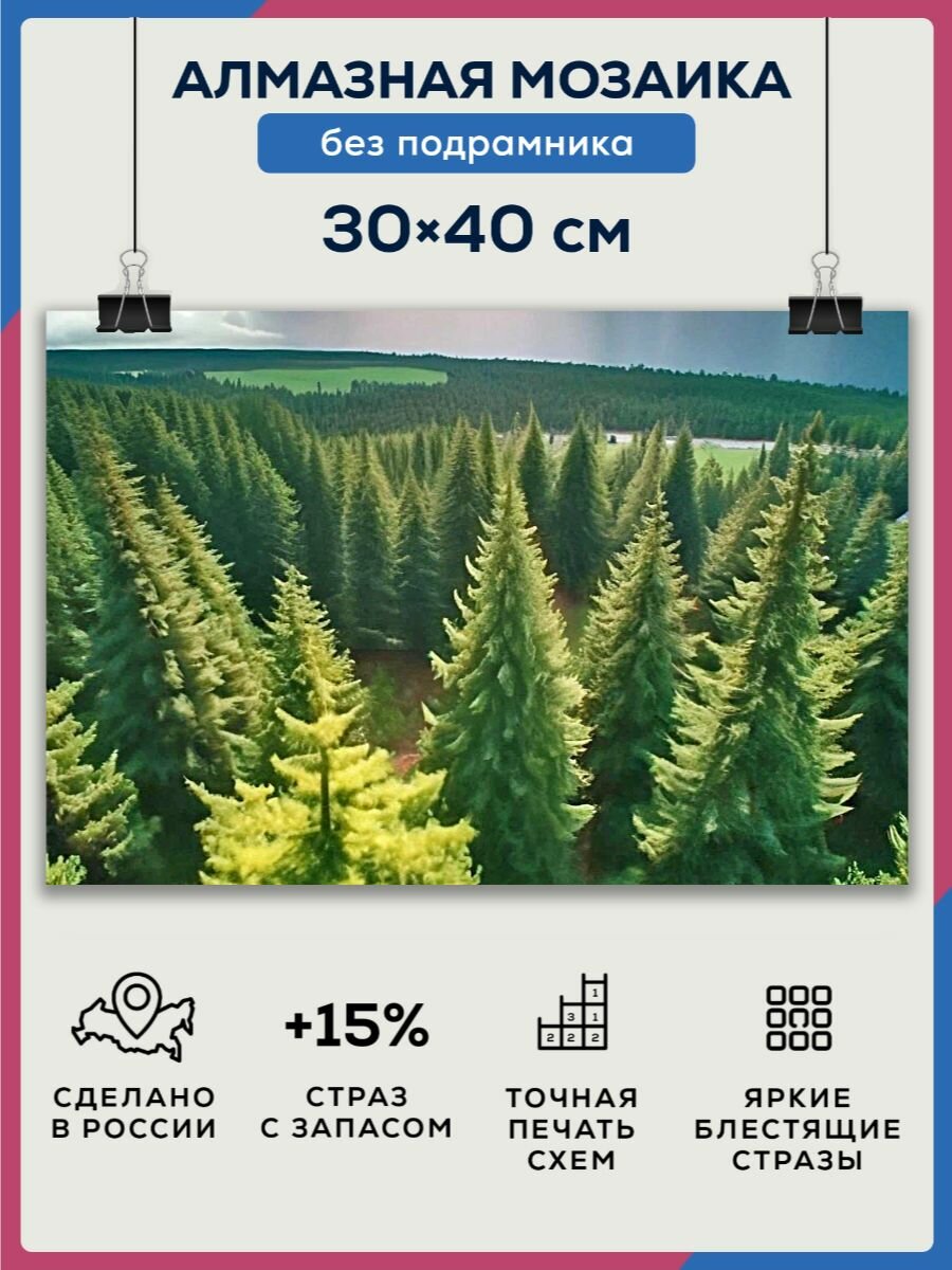 Алмазная мозаика 30x40 Еловый лес без подрамника
